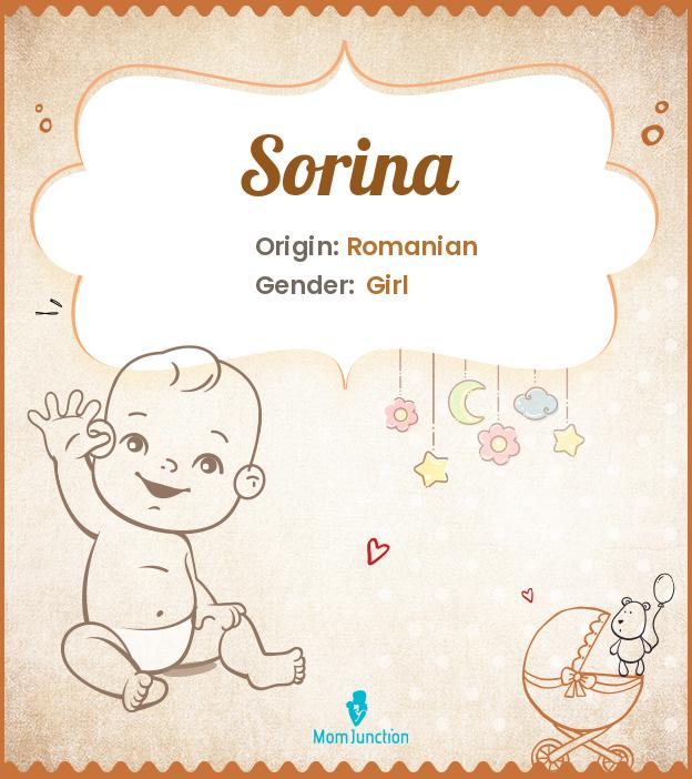 411 Powerful Names That Mean Lion