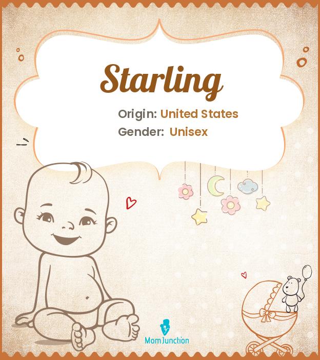 Beatrice Name Meaning, Origin, History, And Popularity