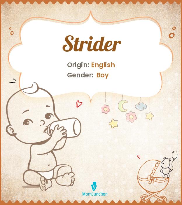 Strider Name Meaning, Origin, History, And Popularity