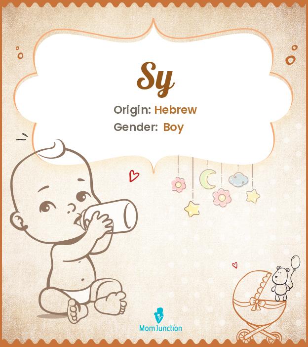 Sy Name Meaning, Origin, History, And Popularity