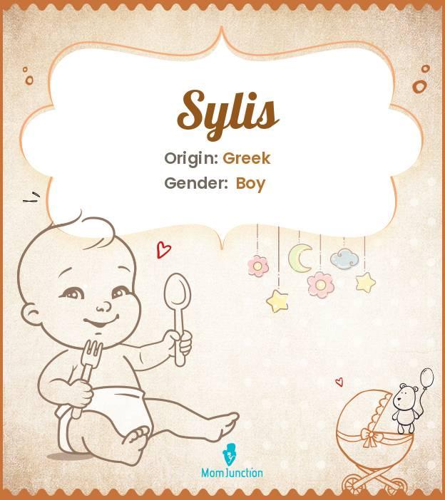 Explore Sylis: Meaning, Origin & Popularity