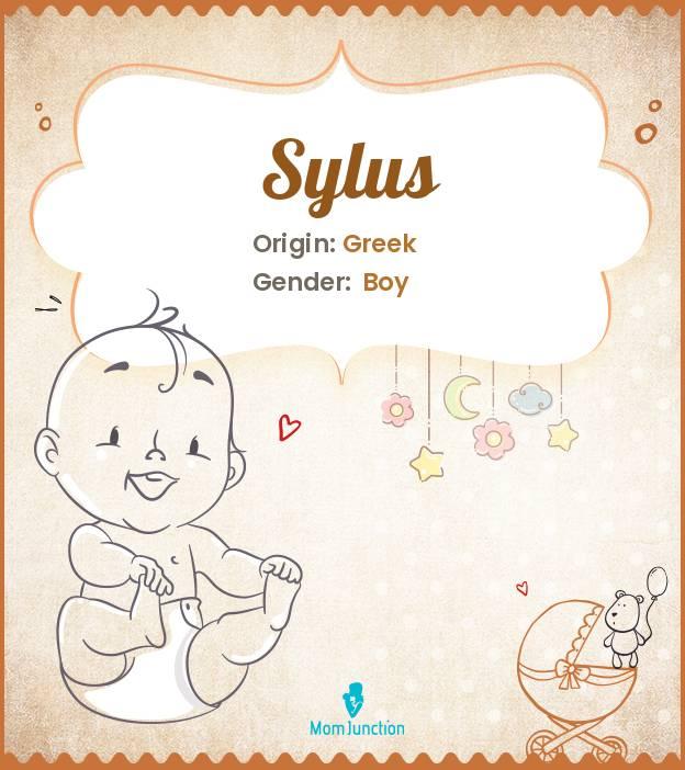 Explore Sylus: Meaning, Origin & Popularity