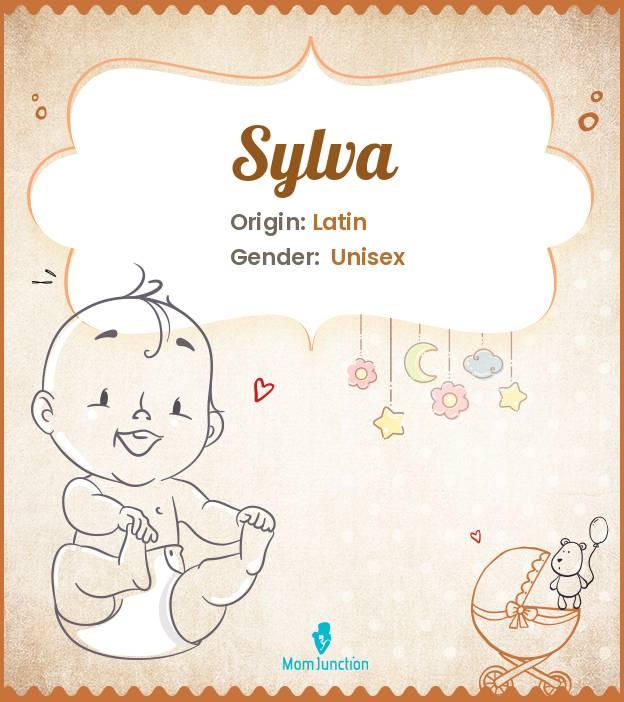 Explore Sylva: Meaning, Origin & Popularity
