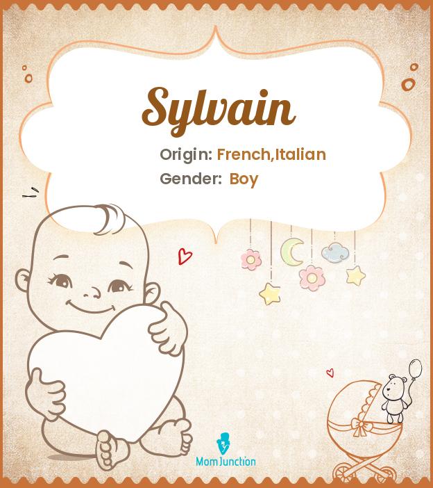 Sylvain Name Meaning, Origin, History, And Popularity