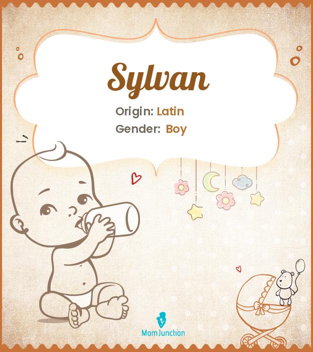 Sylvan Name Meaning, Origin, History, And Popularity