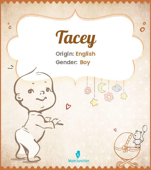 Explore Tacey: Meaning, Origin & Popularity