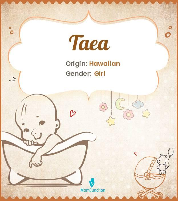 Explore Taea: Meaning, Origin & Popularity