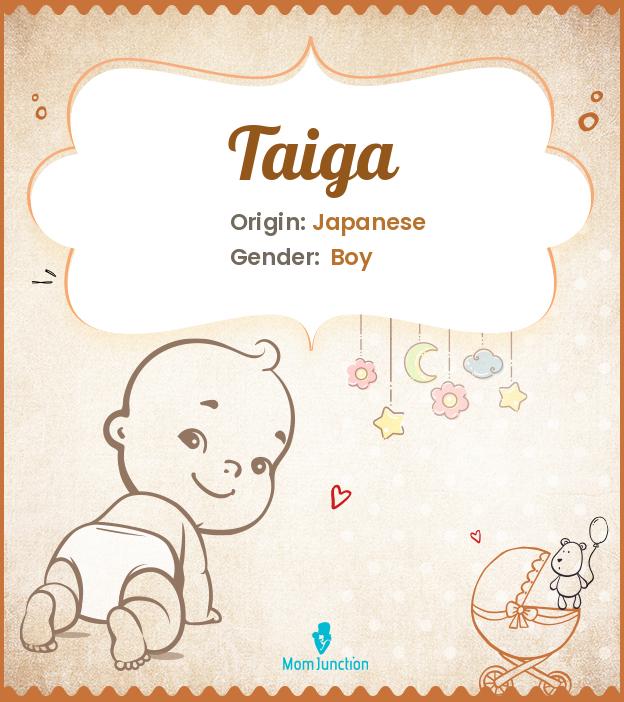 Taiga Name Meaning, Origin, History, And Popularity