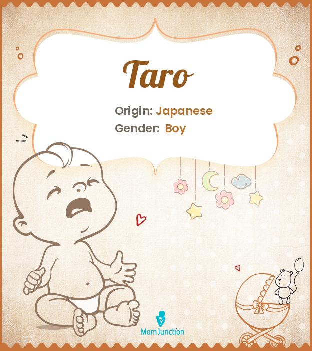 Taro Name Meaning, Origin, History, And Popularity