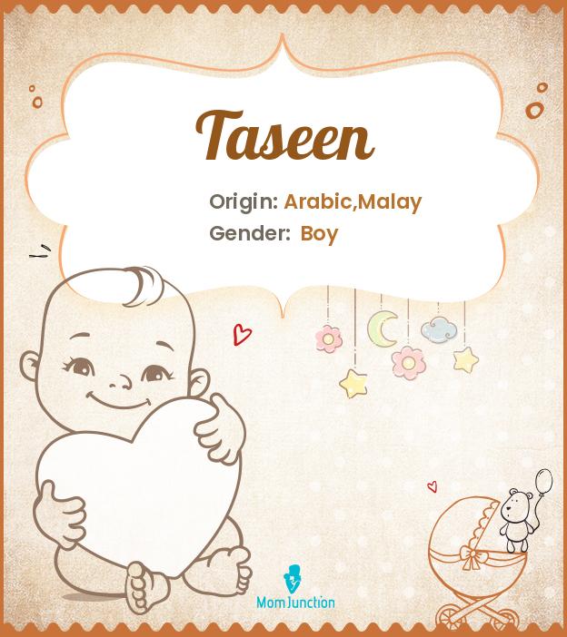 Taseen Name Meaning, Origin, History, And Popularity | MomJunction