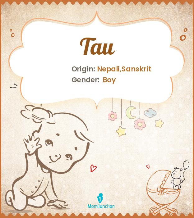 Explore Tau: Meaning, Origin & Popularity