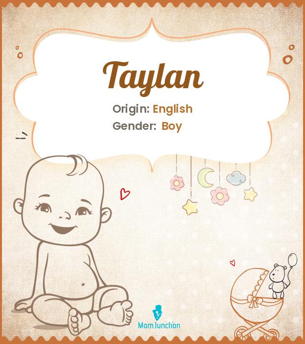 Taylan Name Meaning, Origin, History, And Popularity