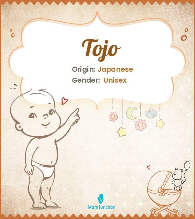 Explore Tojo: Meaning, Origin & Popularity
