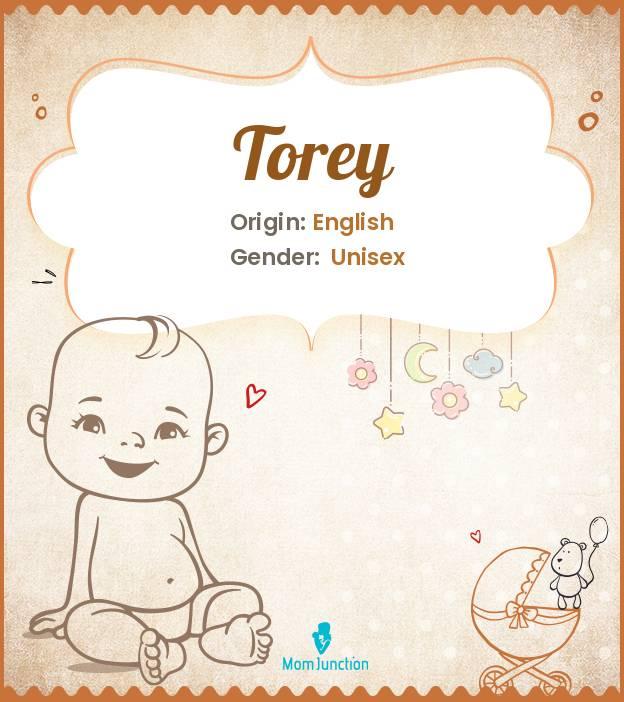 Explore Torey: Meaning, Origin & Popularity