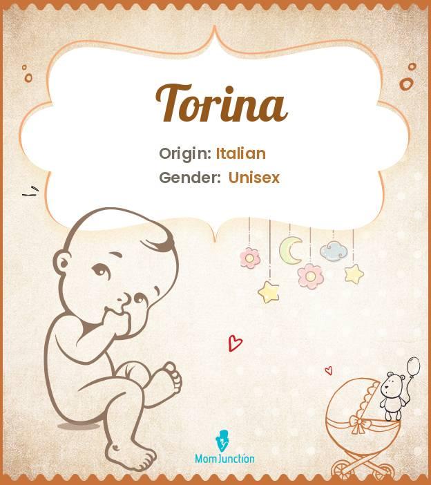 Explore Torina: Meaning, Origin & Popularity
