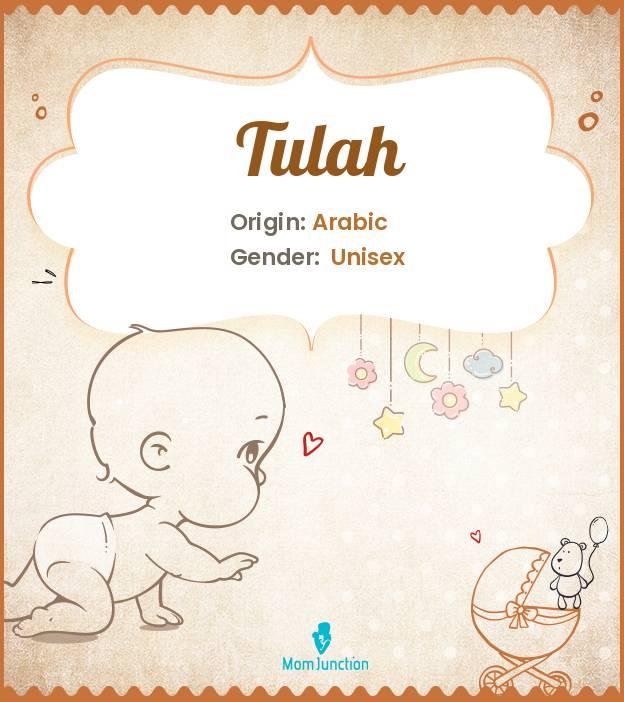 Explore Tulah: Meaning, Origin & Popularity