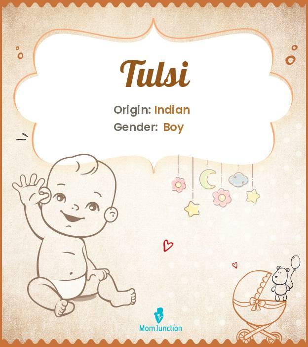 Explore Tulsi: Meaning, Origin & Popularity