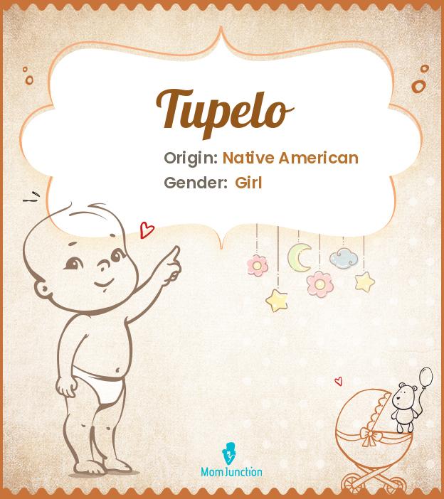 Explore Tupelo: Meaning, Origin & Popularity