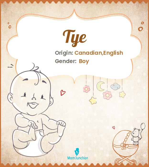 Explore Tye: Meaning, Origin & Popularity
