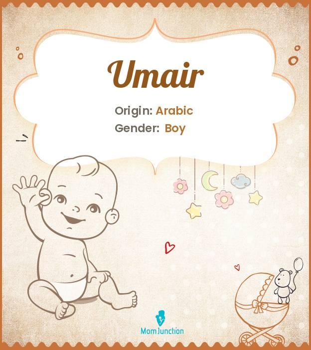 Explore Umair: Meaning, Origin & Popularity