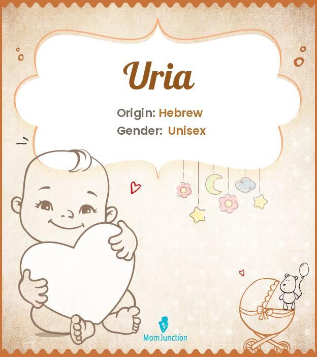 Explore Uria: Meaning, Origin & Popularity