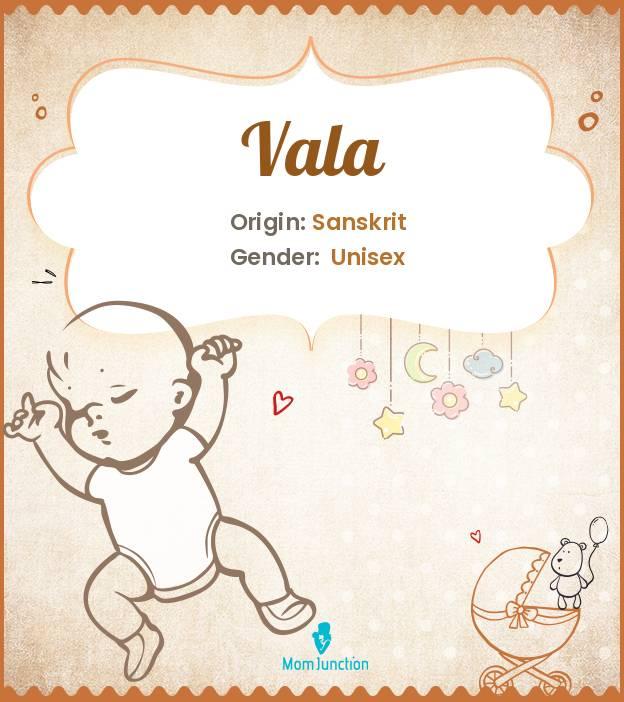 Explore Vala: Meaning, Origin & Popularity | MomJunction