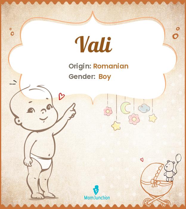 Explore Vali: Meaning, Origin & Popularity