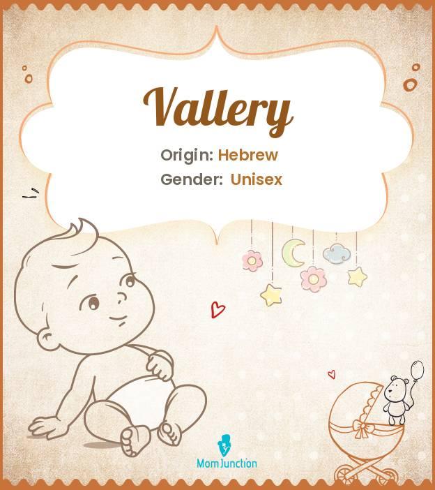 Explore Vallery: Meaning, Origin & Popularity