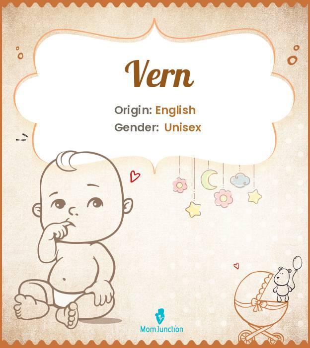 Explore Vern: Meaning, Origin & Popularity