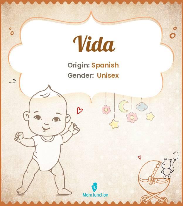 Explore Vida: Meaning, Origin & Popularity