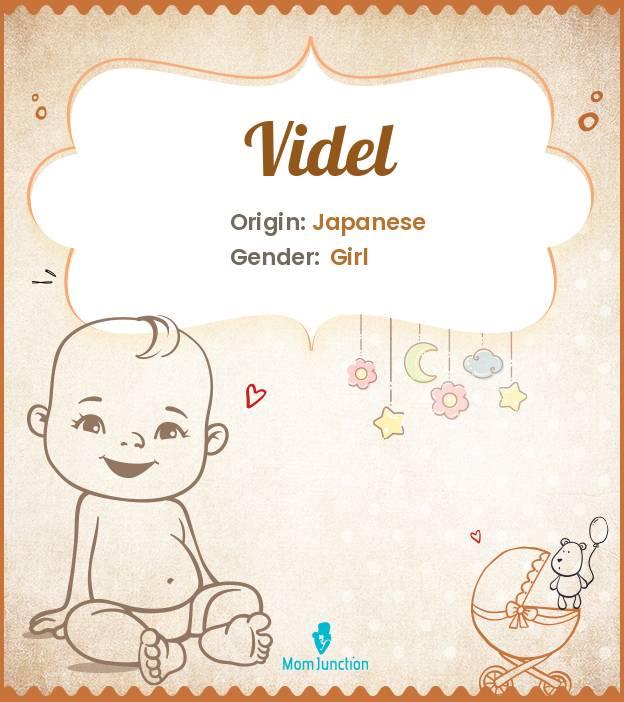 Explore Videl: Meaning, Origin & Popularity