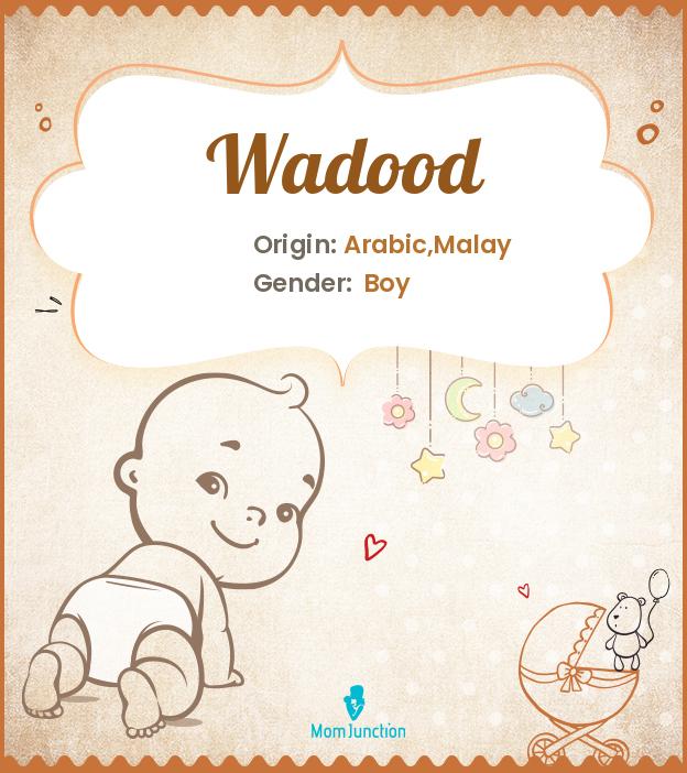 Explore Wadood: Meaning, Origin & Popularity