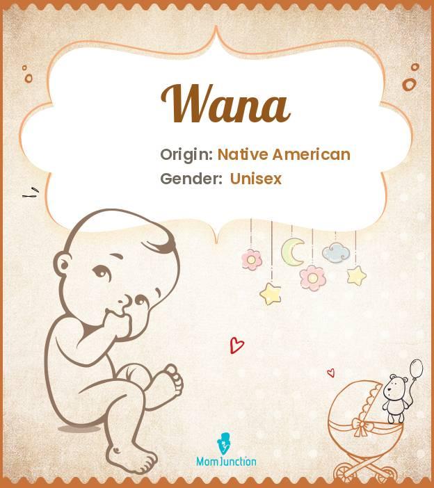Explore Wana: Meaning, Origin & Popularity