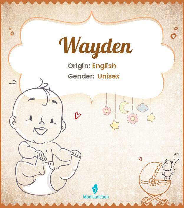 Explore Wayden: Meaning, Origin & Popularity