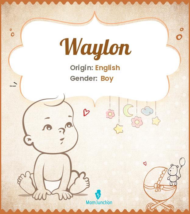 Waylon Name Meaning, Origin, History, And Popularity