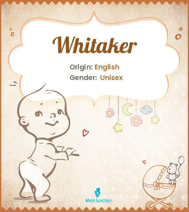 Explore Whitaker: Meaning, Origin & Popularity