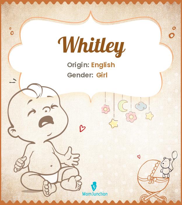 Whitley Name Meaning, Origin, History, And Popularity