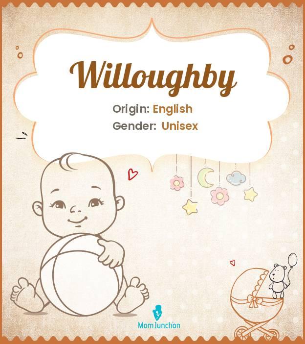 Bartholomew Name Meaning, Origin, History, And Popularity
