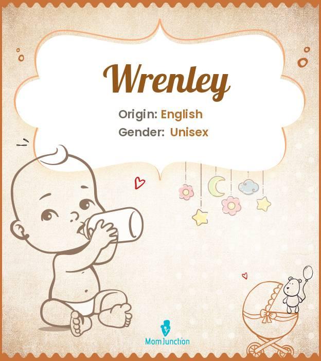 Explore Wrenley: Meaning, Origin & Popularity