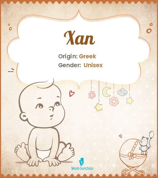 Explore Xan: Meaning, Origin & Popularity