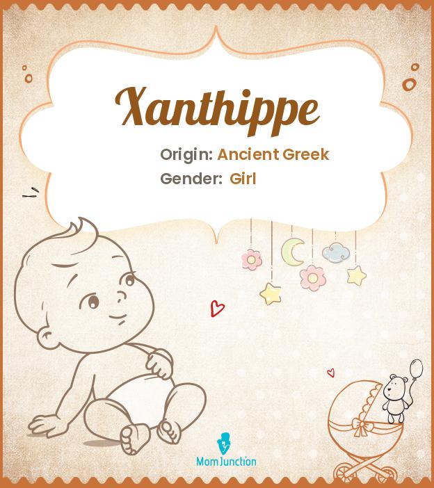 Xanthippe Name Meaning, Origin, History, And Popularity