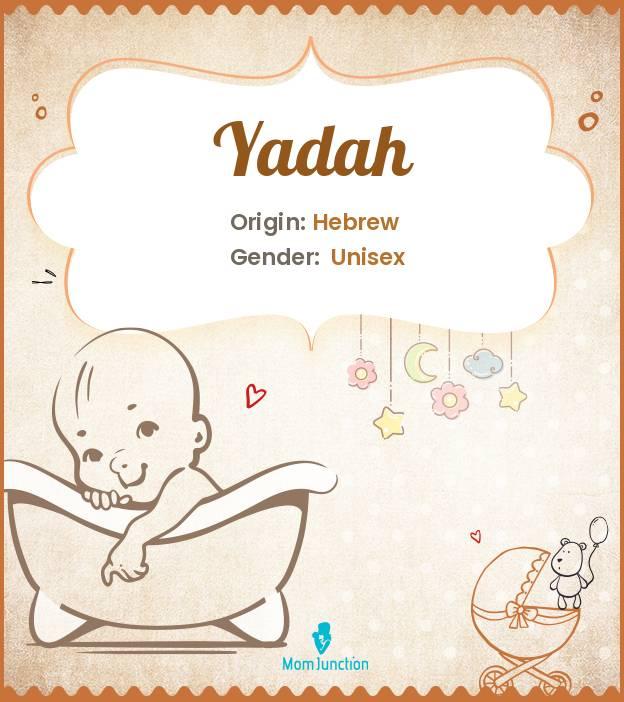 Explore Yadah: Meaning, Origin & Popularity