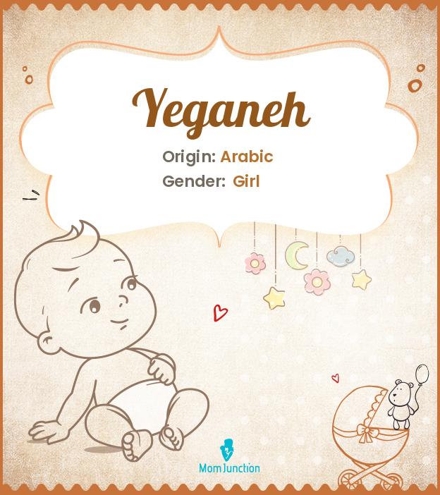 Explore Yeganeh: Meaning, Origin & Popularity