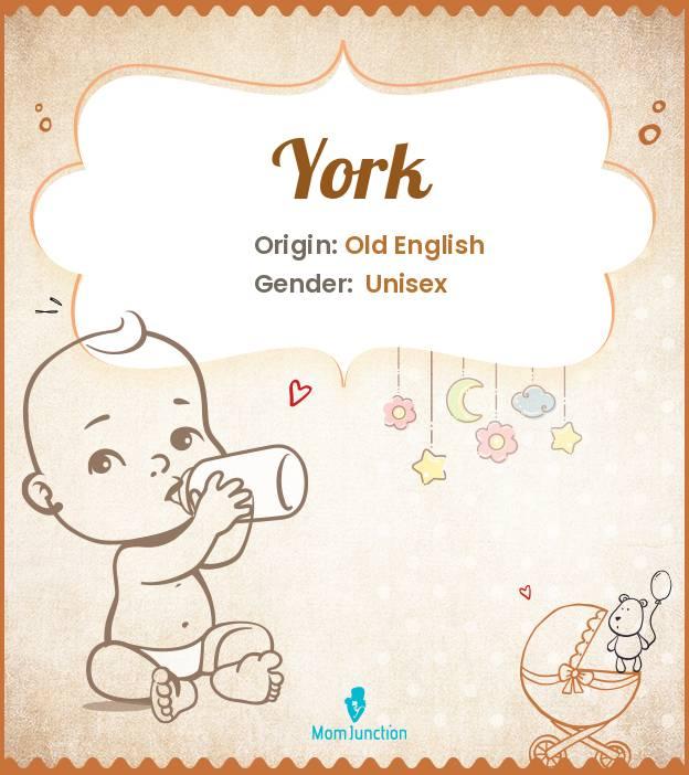 Explore York: Meaning, Origin & Popularity | MomJunction