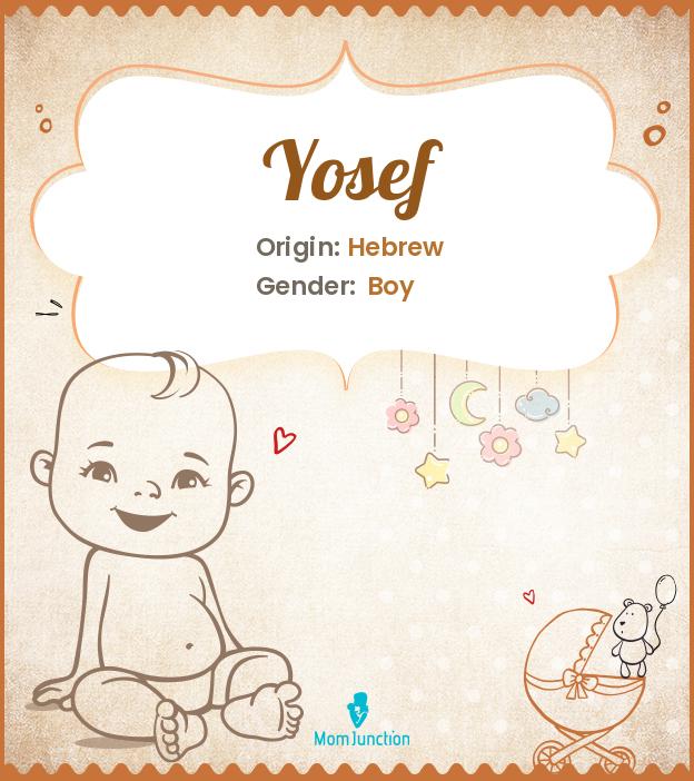 Yosef Name Meaning, Origin, History, And Popularity