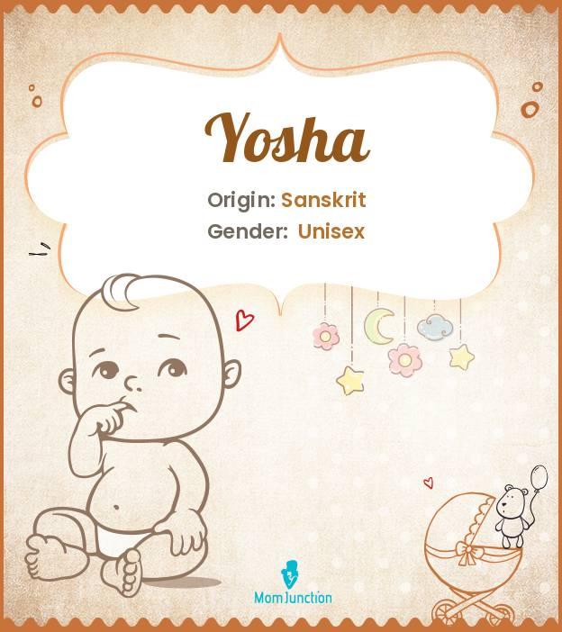 Explore Yosha: Meaning, Origin & Popularity