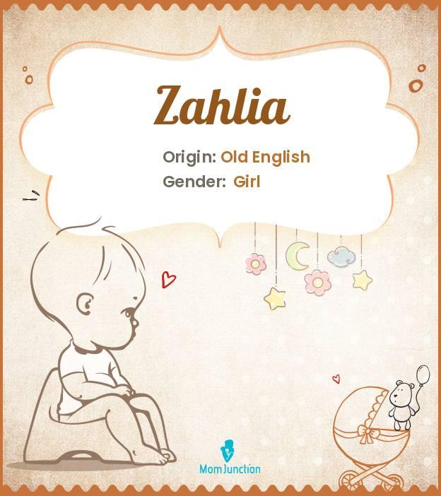 Explore Zahlia: Meaning, Origin & Popularity