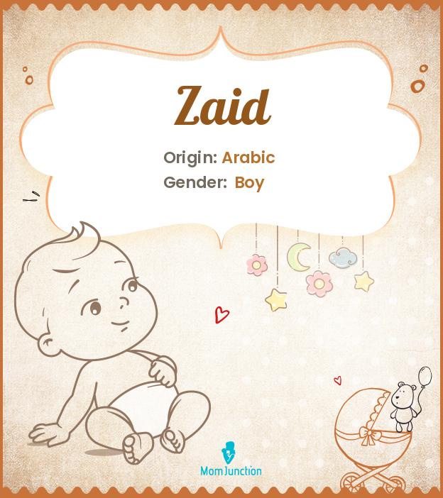 Zaid Name Meaning, Origin, History, And Popularity
