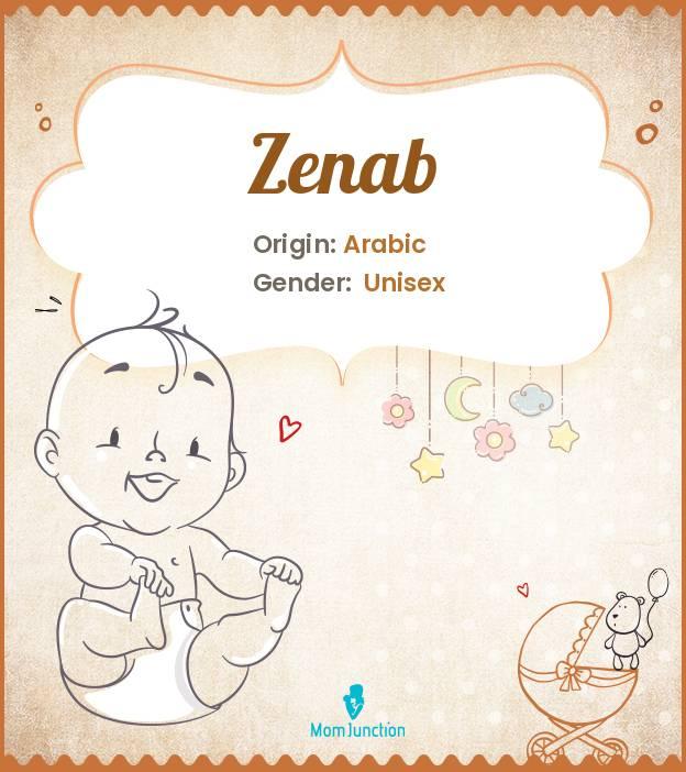 Explore Zenab: Meaning, Origin & Popularity