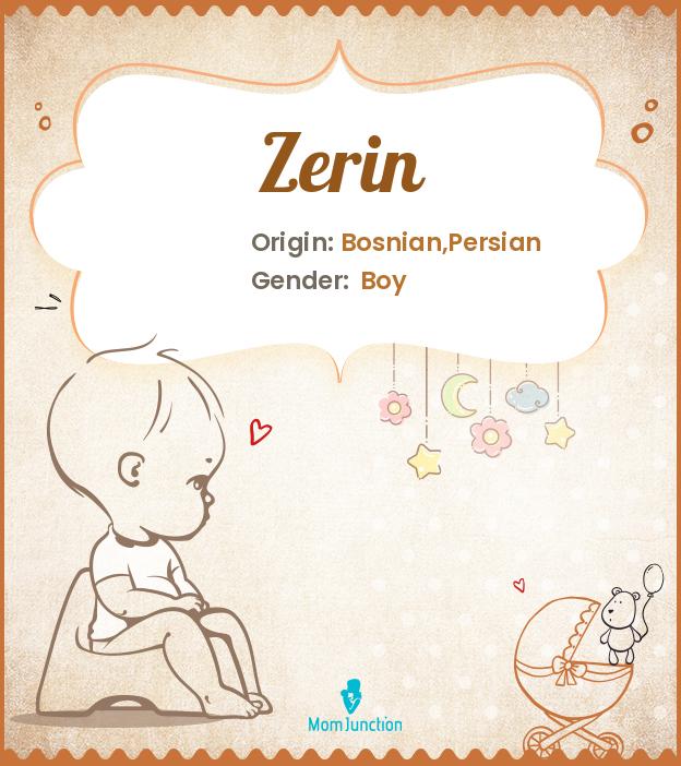 Explore Zerin: Meaning, Origin & Popularity